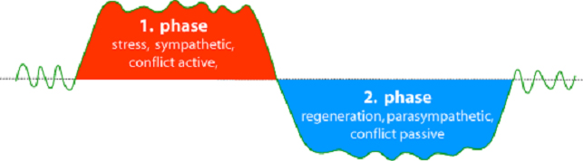 2 phases simple copy - META-Health Academy.